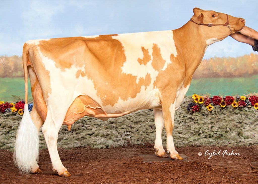 Michelangelo – Masterpiece Genetics