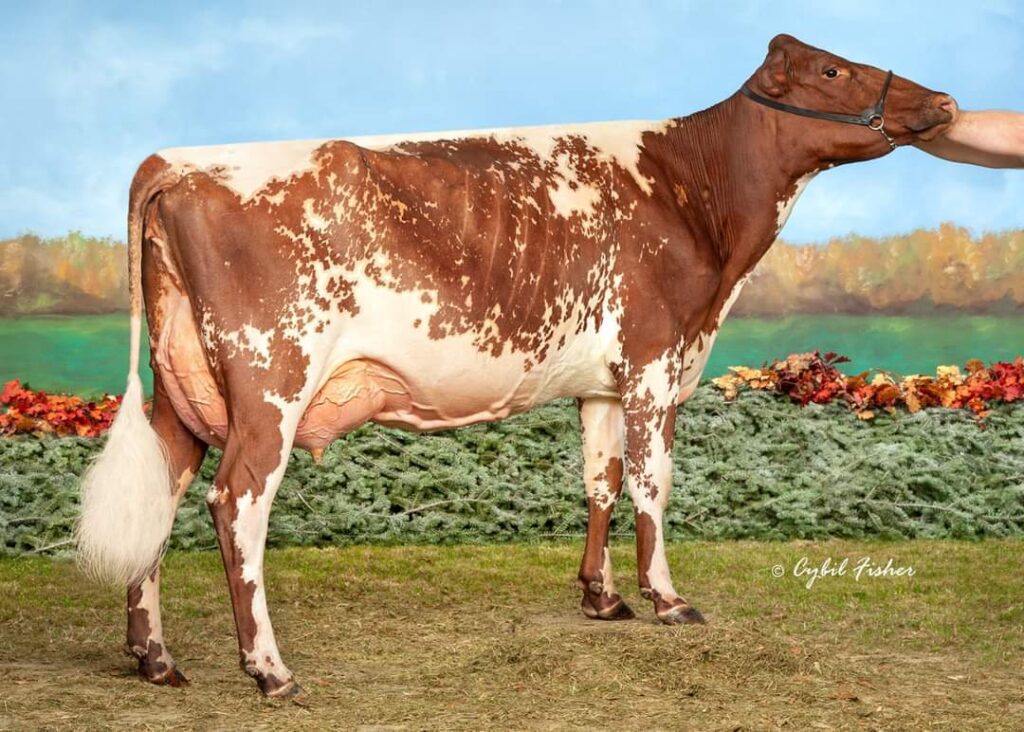 Inspired PP – Masterpiece Genetics