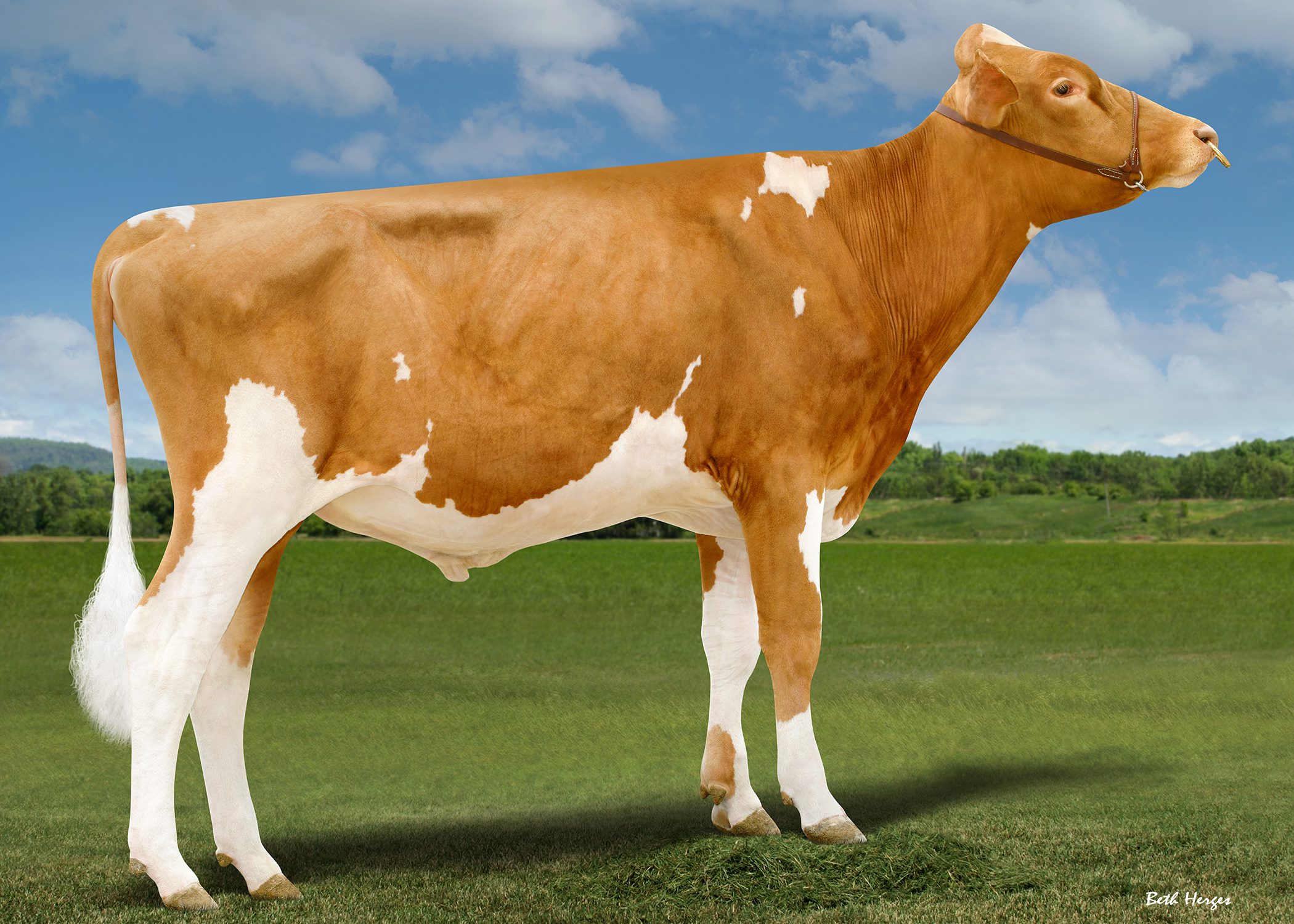 Prescott – Masterpiece Genetics